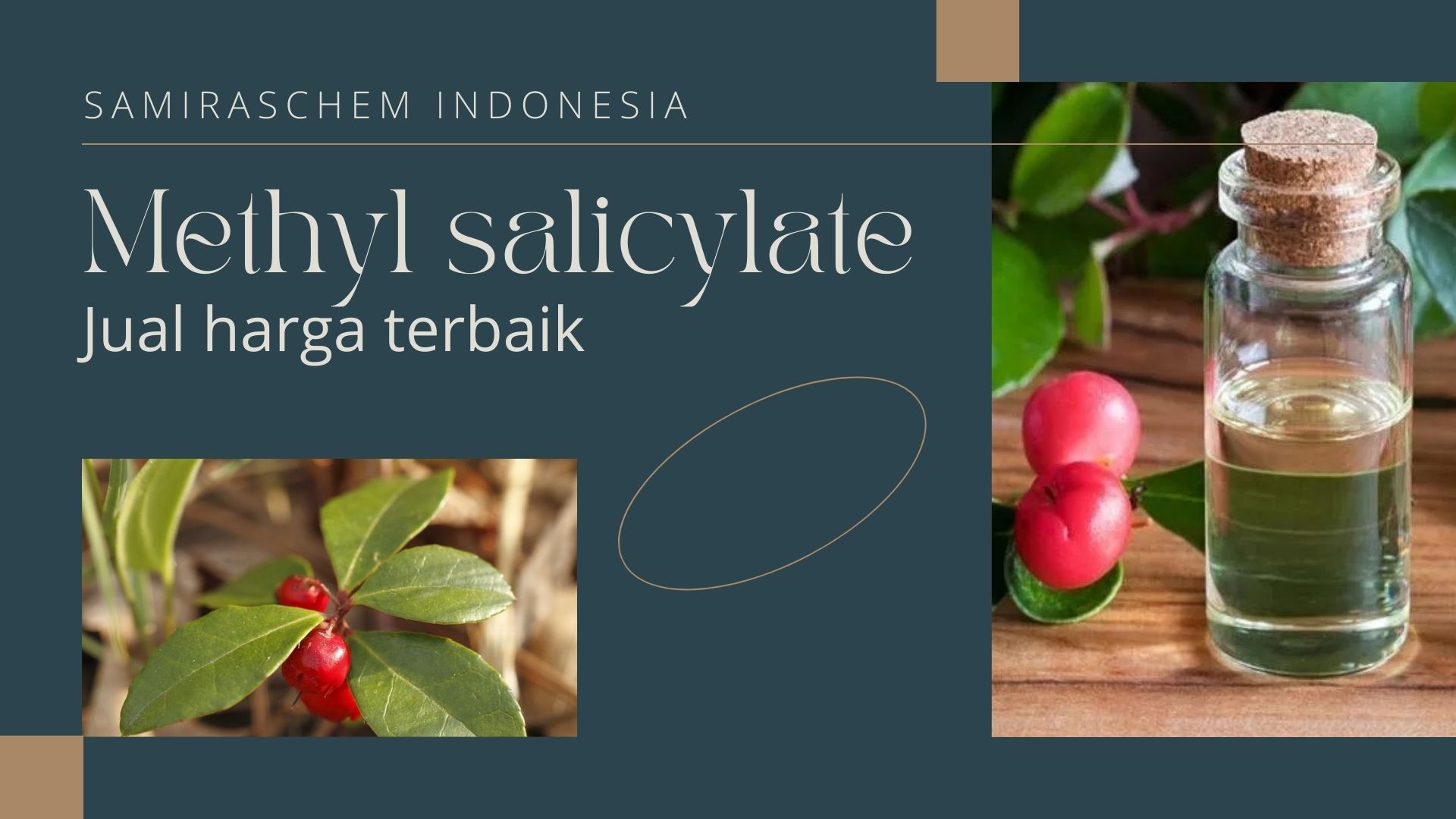 Jual Methyl Salicylate