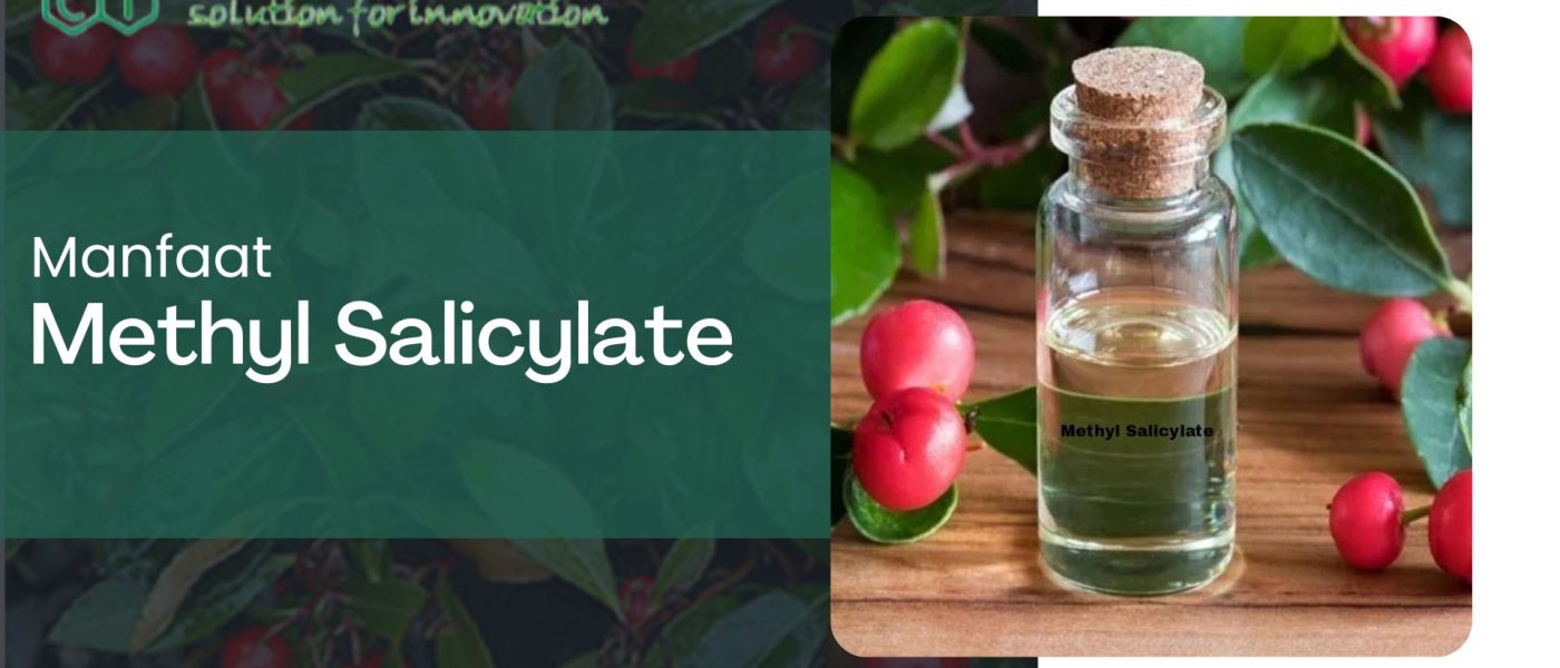 Manfaat Methyl Salicylate
