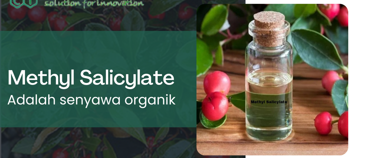 Methyl salicylate adalah senyawa organik