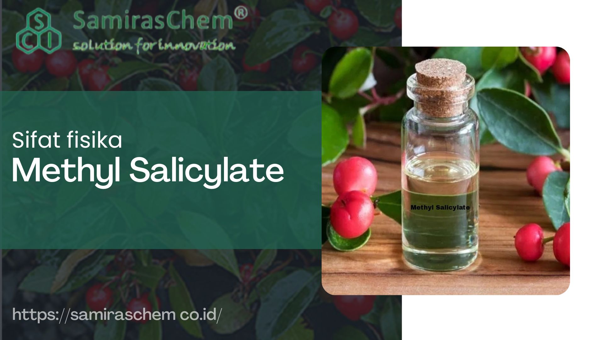 sifat fisika methyl salicylate
