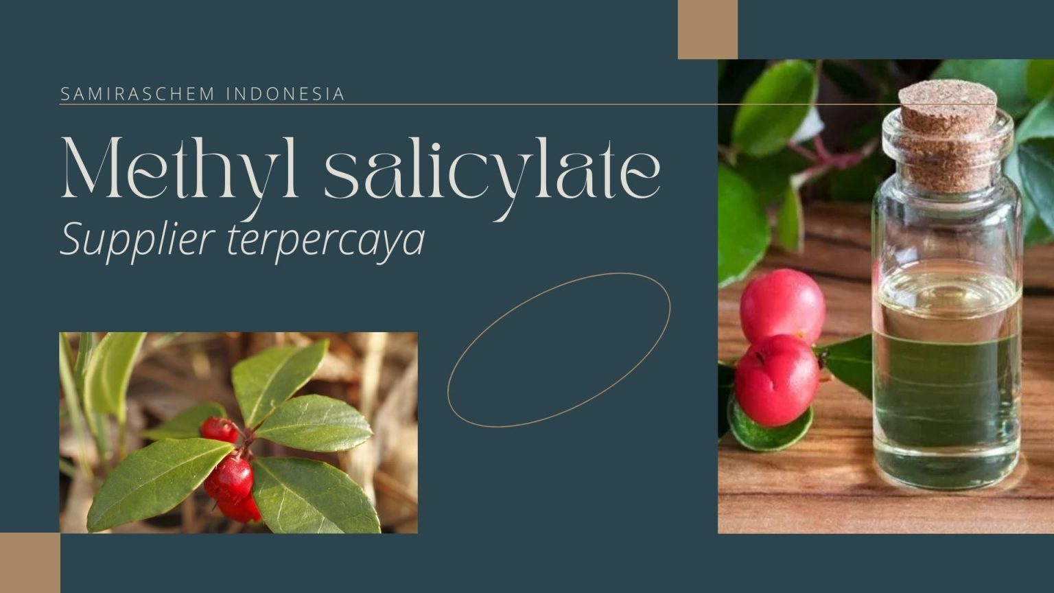 Supplier Methyl Salicylate Terpercaya