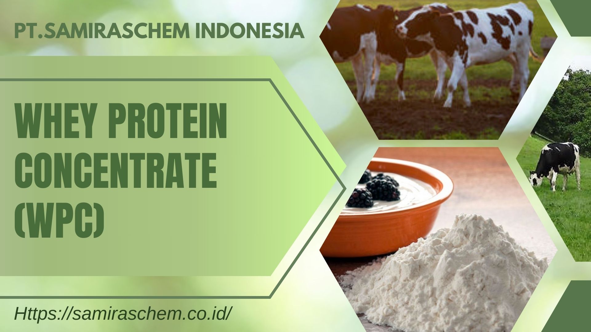 Harga Whey Protein Concentrate Terbaru - Harga Whey Protein